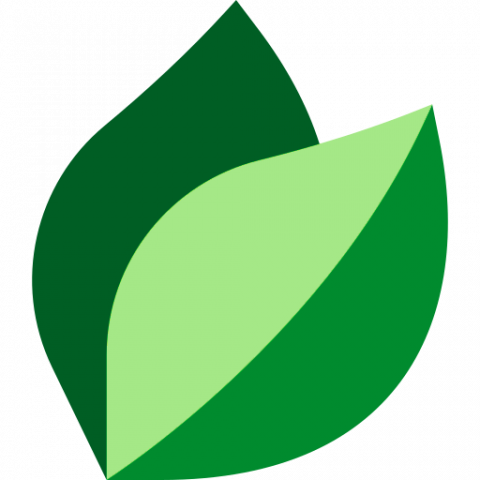 Why Use Clear Ridge Nursery | Wholesale Tree Nursery