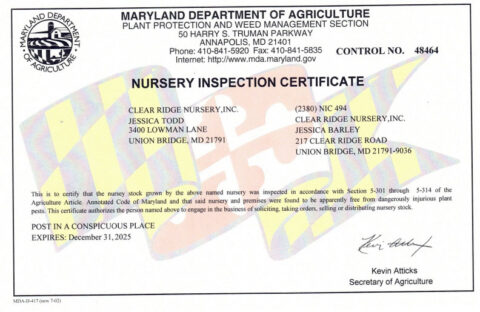 Nursery Certificate - Wholesale Tree Nursery